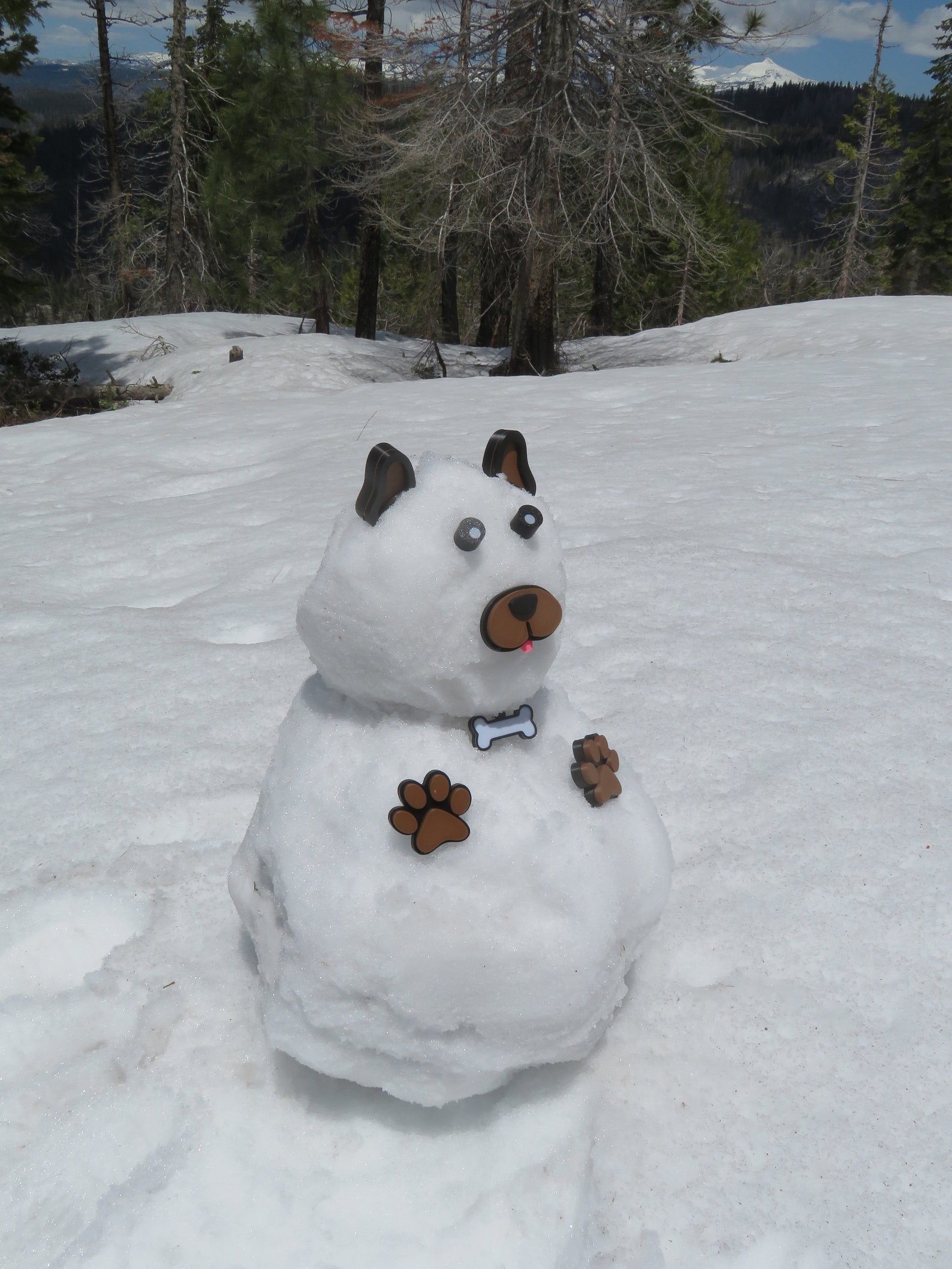Snow Dog Building Kit for Family Winter Outdoor Activities: Unique ...