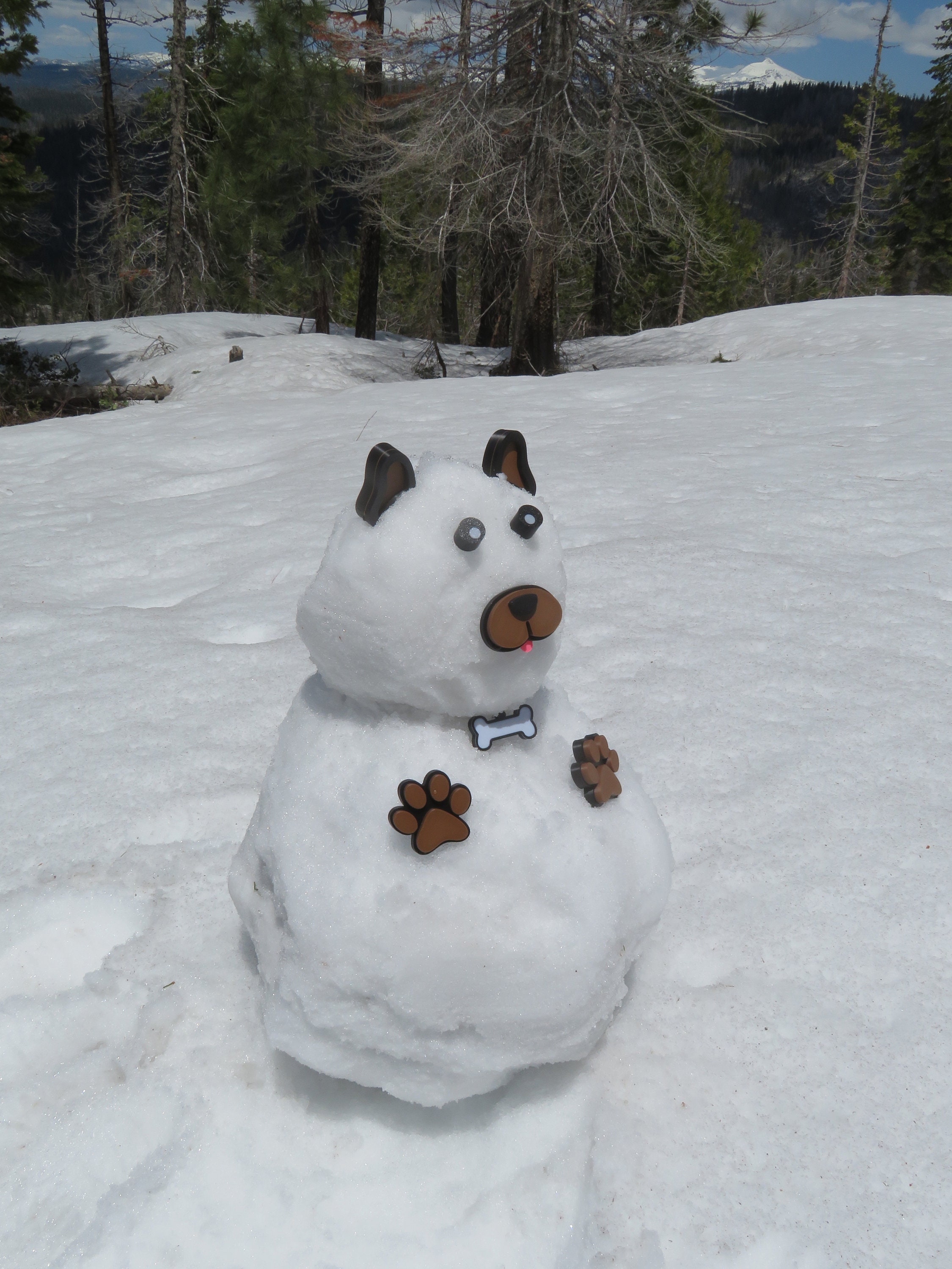 Snow Dog Building Kit for Family Winter Outdoor Activities: Unique ...
