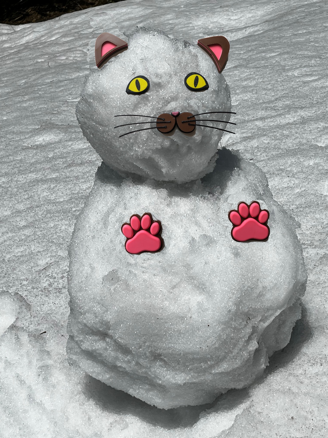 Snow Kitty Building Kit for Family Winter Outdoor Activities: Unique ...