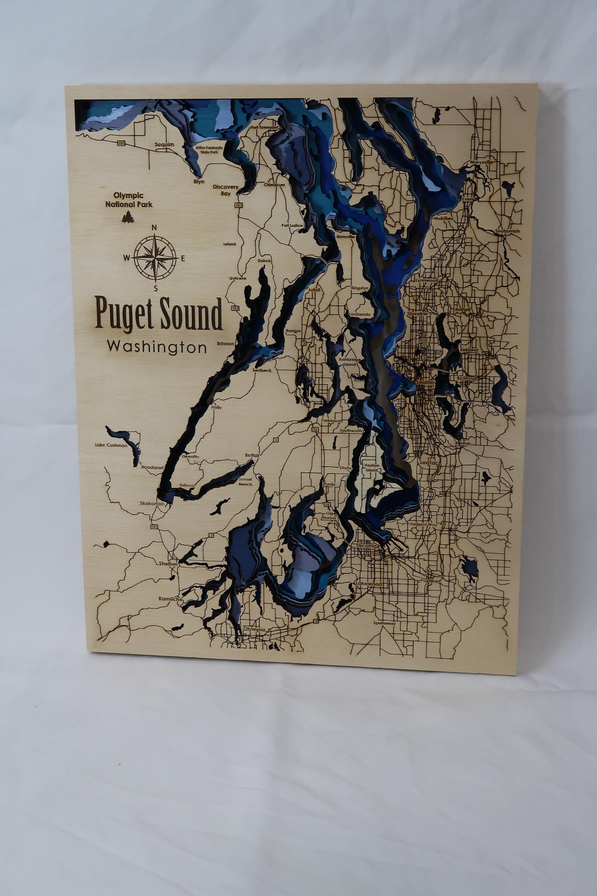 Puget Sound Topographical Map - Etsy
