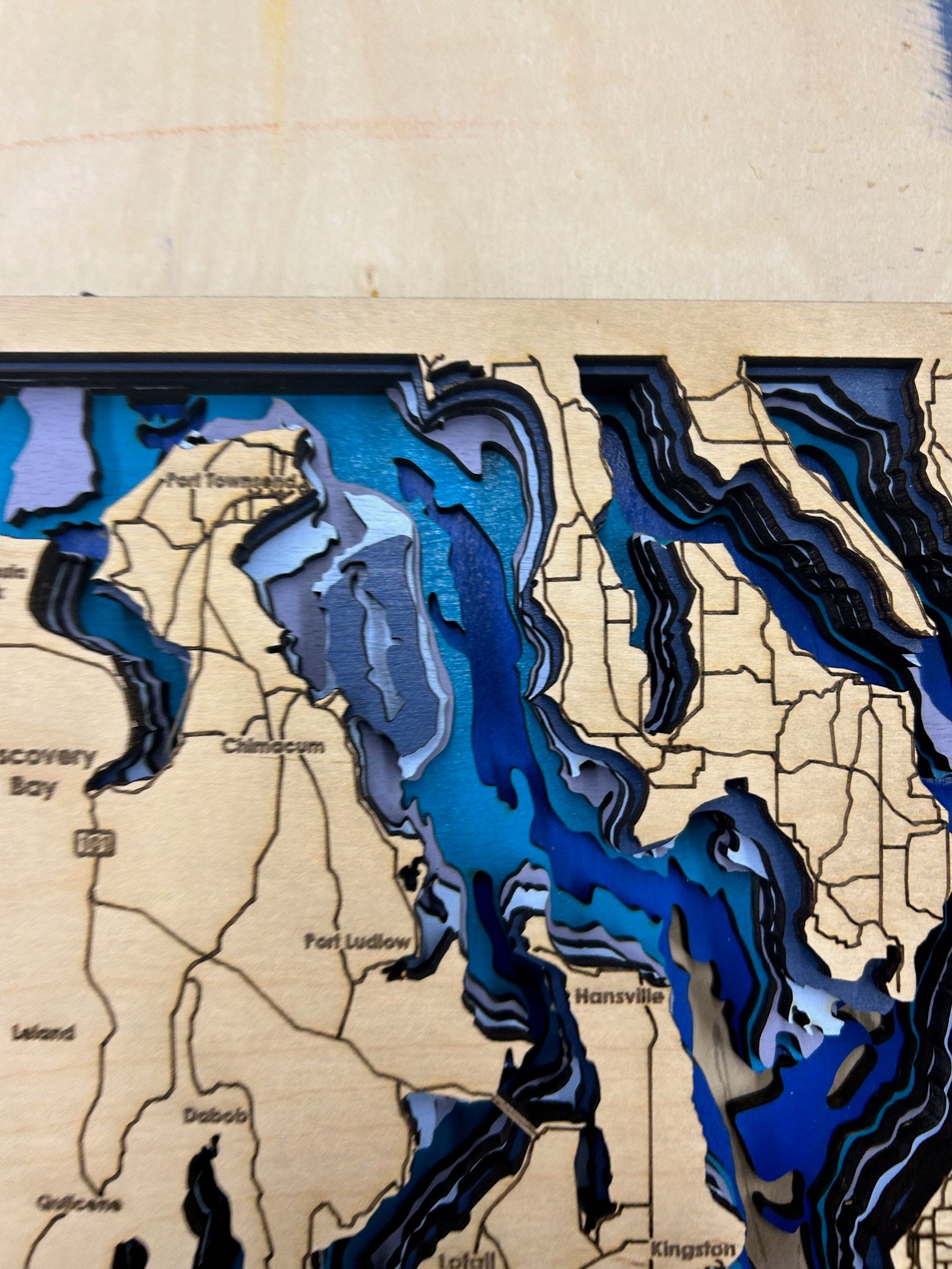 Puget Sound Topographical Map Etsy