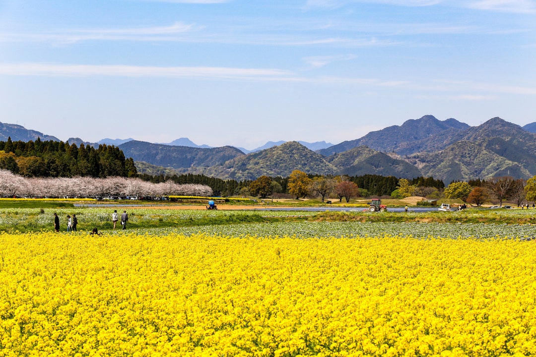 Saitobaru Burial Mounds, Print-at-home Wall Art, Digital Download ...