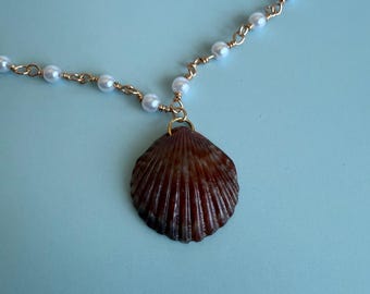 Scallop Shell Necklace - Etsy