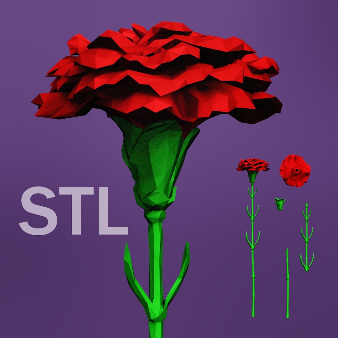 Carnation Flower - STL Digital File for 3D Printing - Etsy