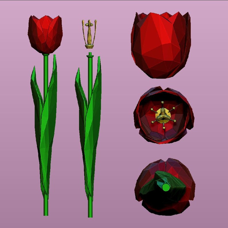 Tulip Flower in Low Poly Style Stl Digital File - Etsy