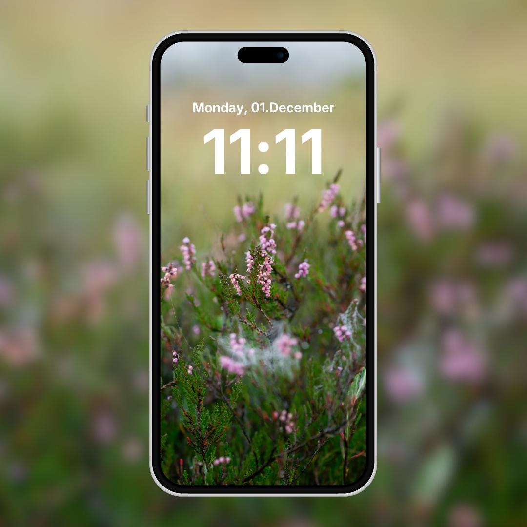 Calming Nature Phone Wallpaper: Original Estonia Photo Bundle (digital ...