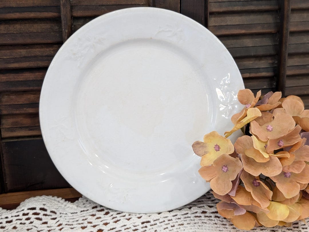 Antique Ironstone Plate - Etsy