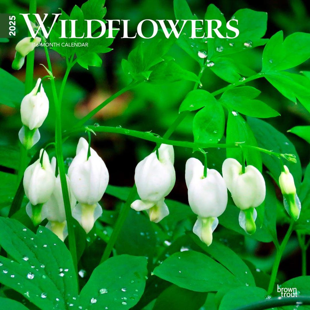 Wildflowers | 2025 12 X 24 Inch Monthly Square Wall Calendar | Plastic ...