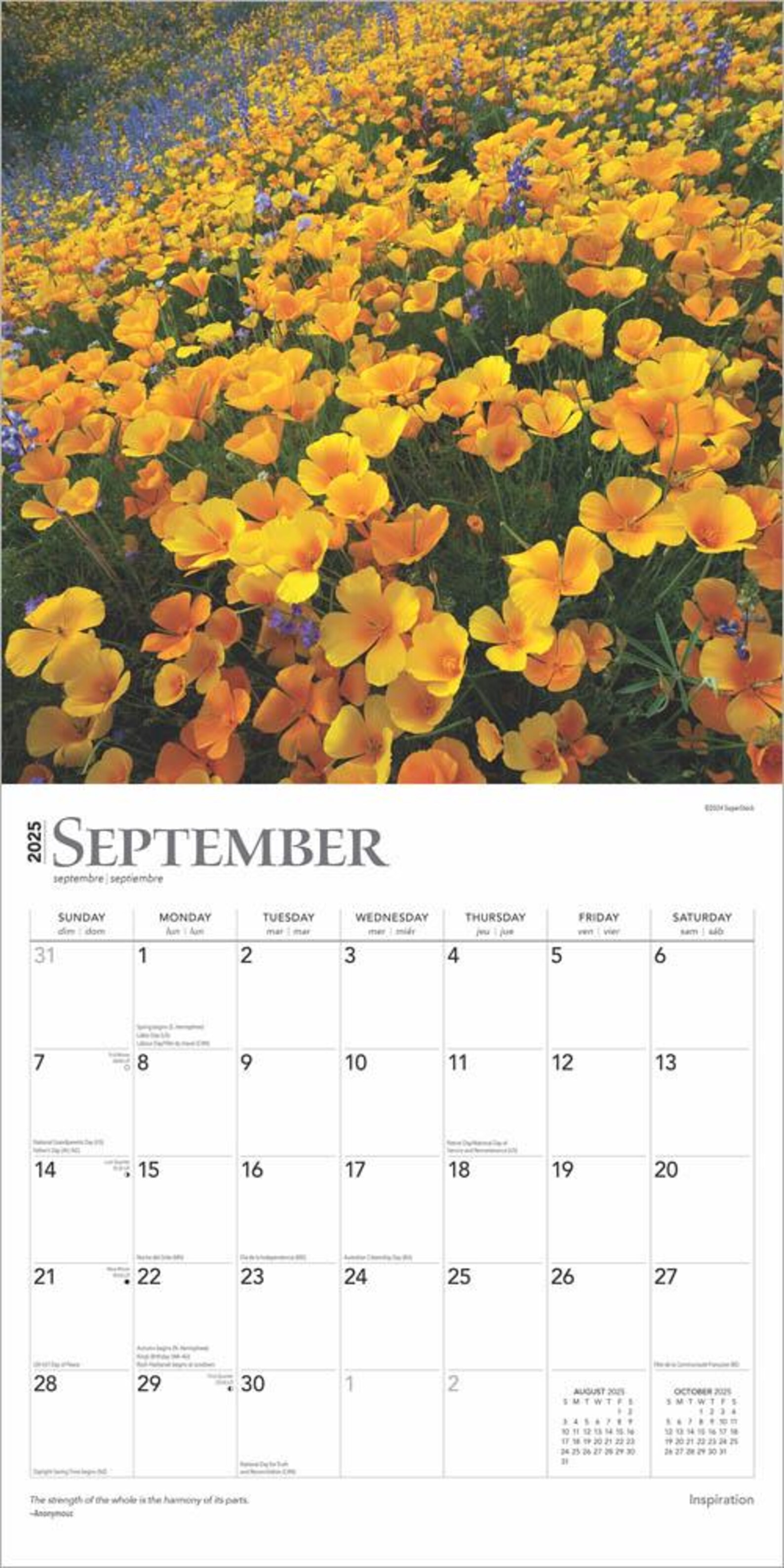Inspiration 2025 12 X 24 Inch Monthly Square Wall Calendar Foil Stamped ...