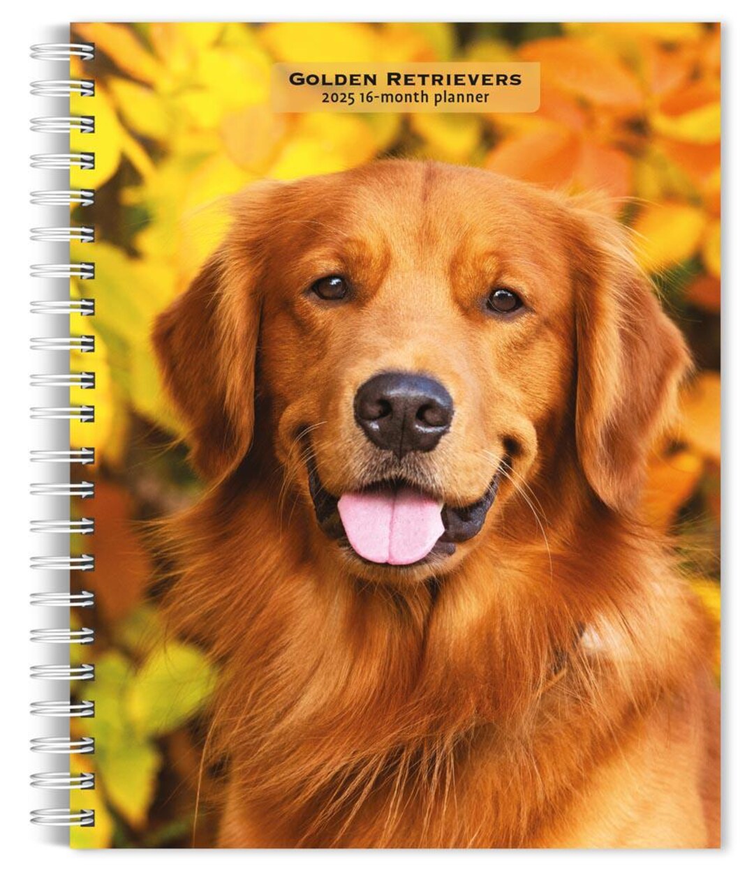 Golden Retrievers | 2025 6 X 7.75 Inch Spiral-bound Wire-o Weekly Engagement Planner Calendar ...
