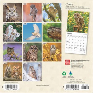 Owls | 2025 7 X 14 Inch Monthly Mini Wall Calendar | Browntrout ...