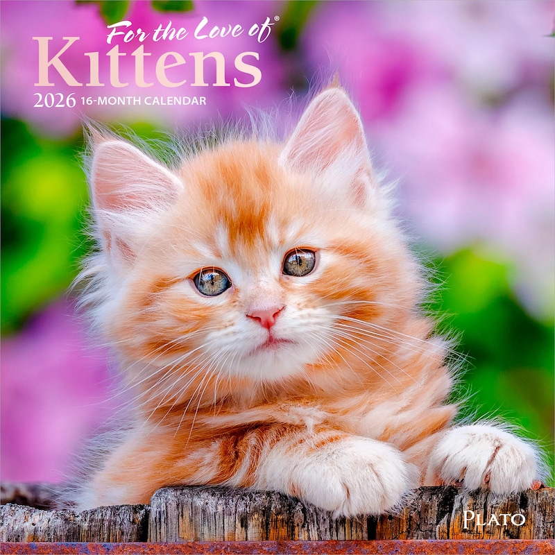 Mini Hanging Cat Calendar - Etsy