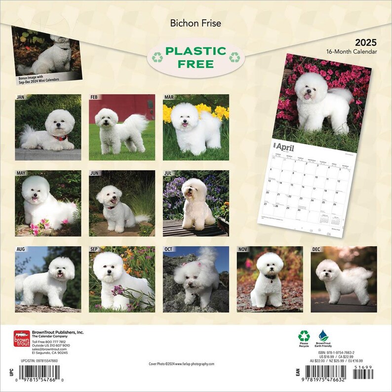 Bichon Frise 2025 12 X 24 Inch Monthly Square Wall Calendar Plastic ...