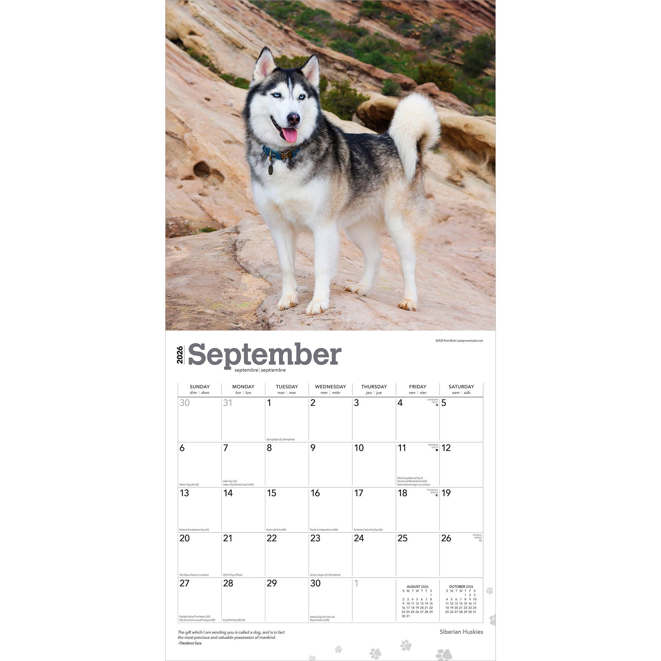 Siberian Huskies | 2026 12 X 24 Inch (hanging) Monthly Square Wall ...