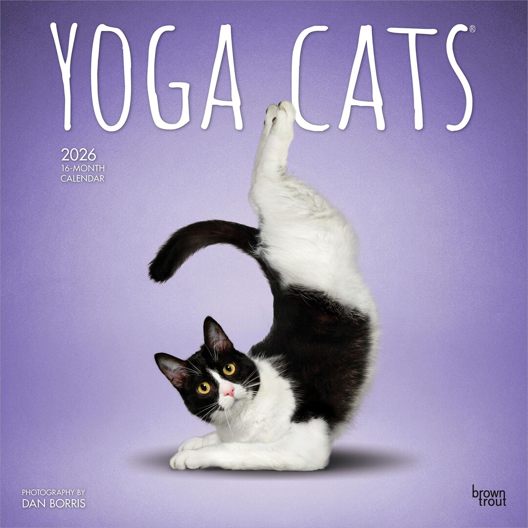 Yoga Cats OFFICIAL | 2026 12 X 24 Inch (hanging) Monthly Square Wall ...