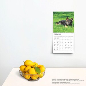 German Shepherd Puppies | 2025 7 X 14 Inch Monthly Mini Wall Calendar ...