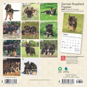 German Shepherd Puppies | 2025 7 X 14 Inch Monthly Mini Wall Calendar ...