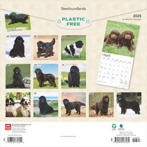 Newfoundlands | 2025 12 X 24 Inch Monthly Square Wall Calendar ...