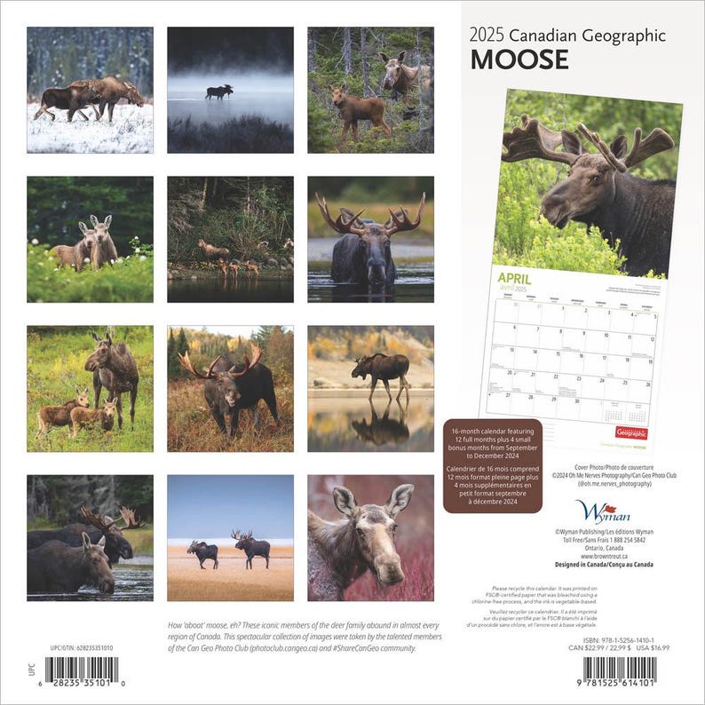 Canadian Geographic Moose OFFICIAL 2025 12 X 24 Inch Monthly Square ...
