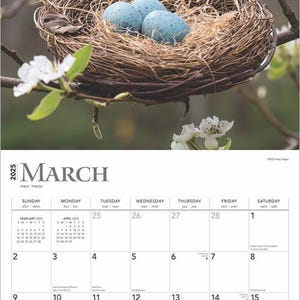 Inspiration 2025 12 X 24 Inch Monthly Square Wall Calendar Foil Stamped ...