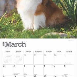 Shetland Sheepdogs | 2025 12 X 24 Inch Monthly Square Wall Calendar ...