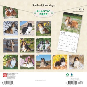 Shetland Sheepdogs | 2025 12 X 24 Inch Monthly Square Wall Calendar ...