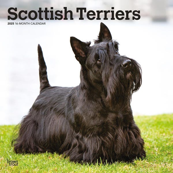 Scottie Calendar - Etsy