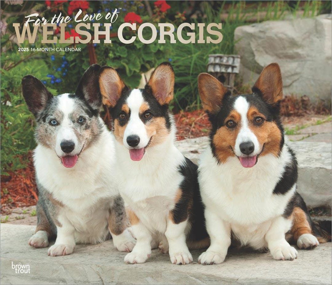 For the Love of Welsh Corgis | 2025 14 X 24 Inch Monthly Deluxe Wall ...