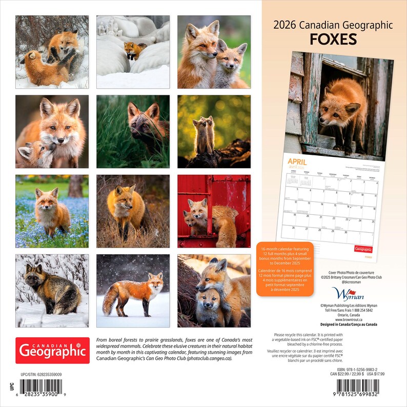 Canadian Geographic Foxes OFFICIAL | 2026 12 X 24 Inch (hanging ...