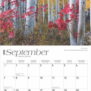 Rocky Mountain Wilderness | 2025 12 X 24 Inch Monthly Square Wall ...