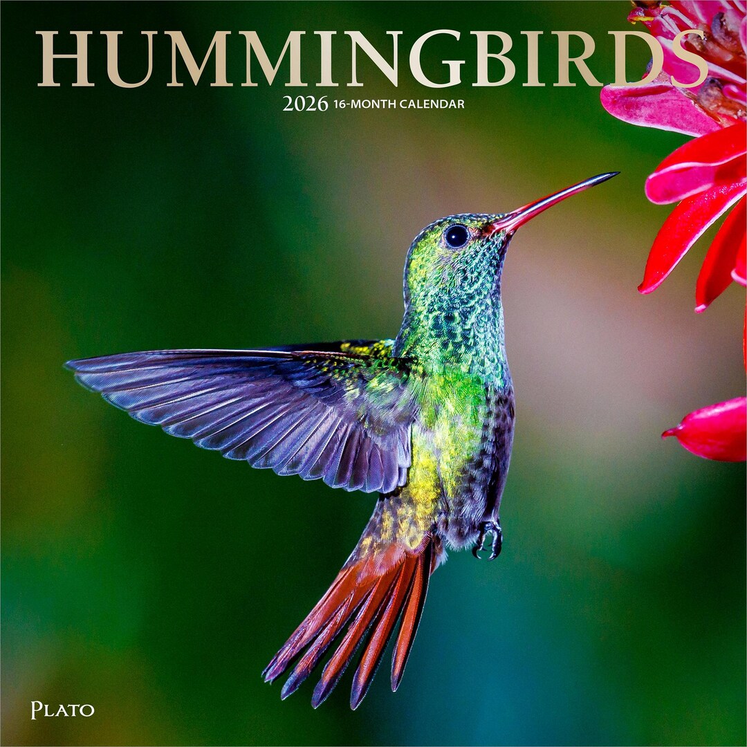 Hummingbirds | 2026 12 X 24 Inch (hanging) Monthly Square Wall Calendar ...