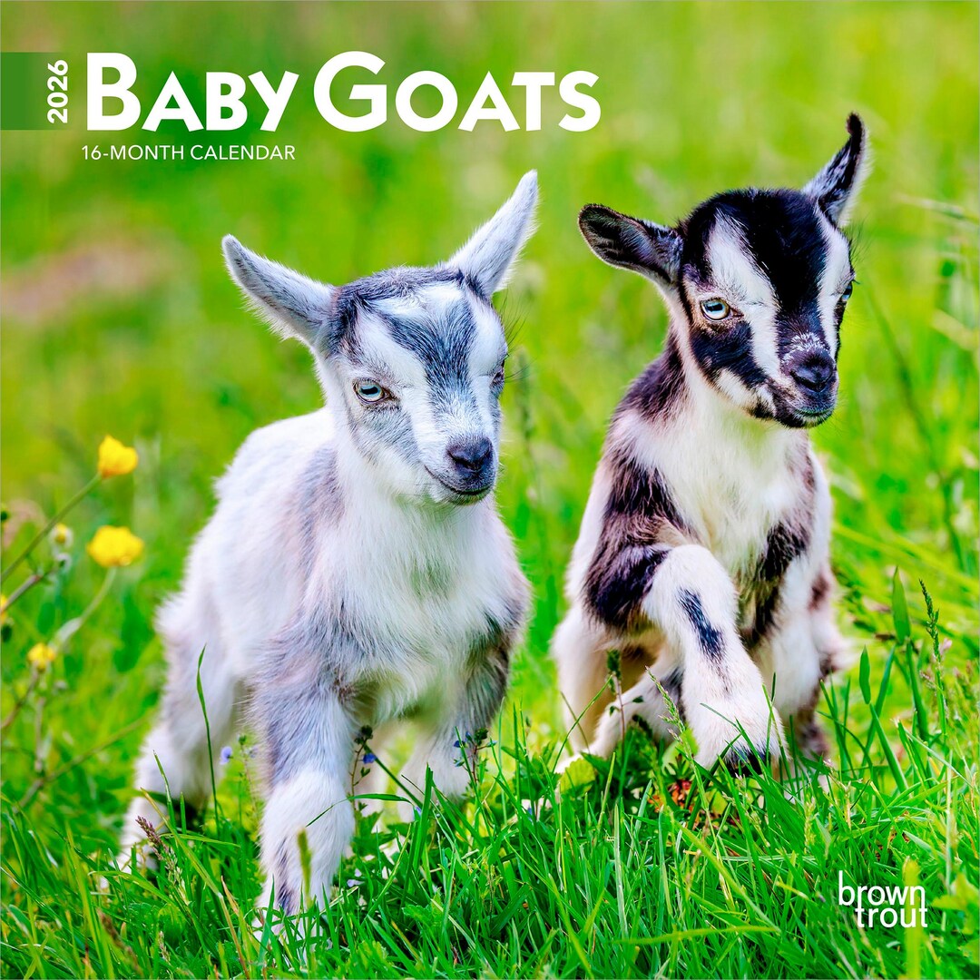 Baby Goats | 2026 7 X 14 Inch (hanging) Monthly Mini Wall Calendar ...