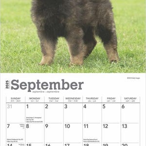 German Shepherd Puppies | 2025 7 X 14 Inch Monthly Mini Wall Calendar ...