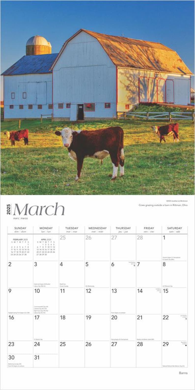 Barns 2025 12 X 24 Inch Monthly Square Wall Calendar Plastic-free ...