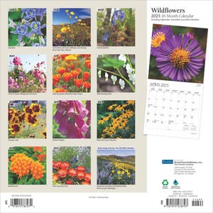 Wildflowers | 2025 12 X 24 Inch Monthly Square Wall Calendar | Foil ...