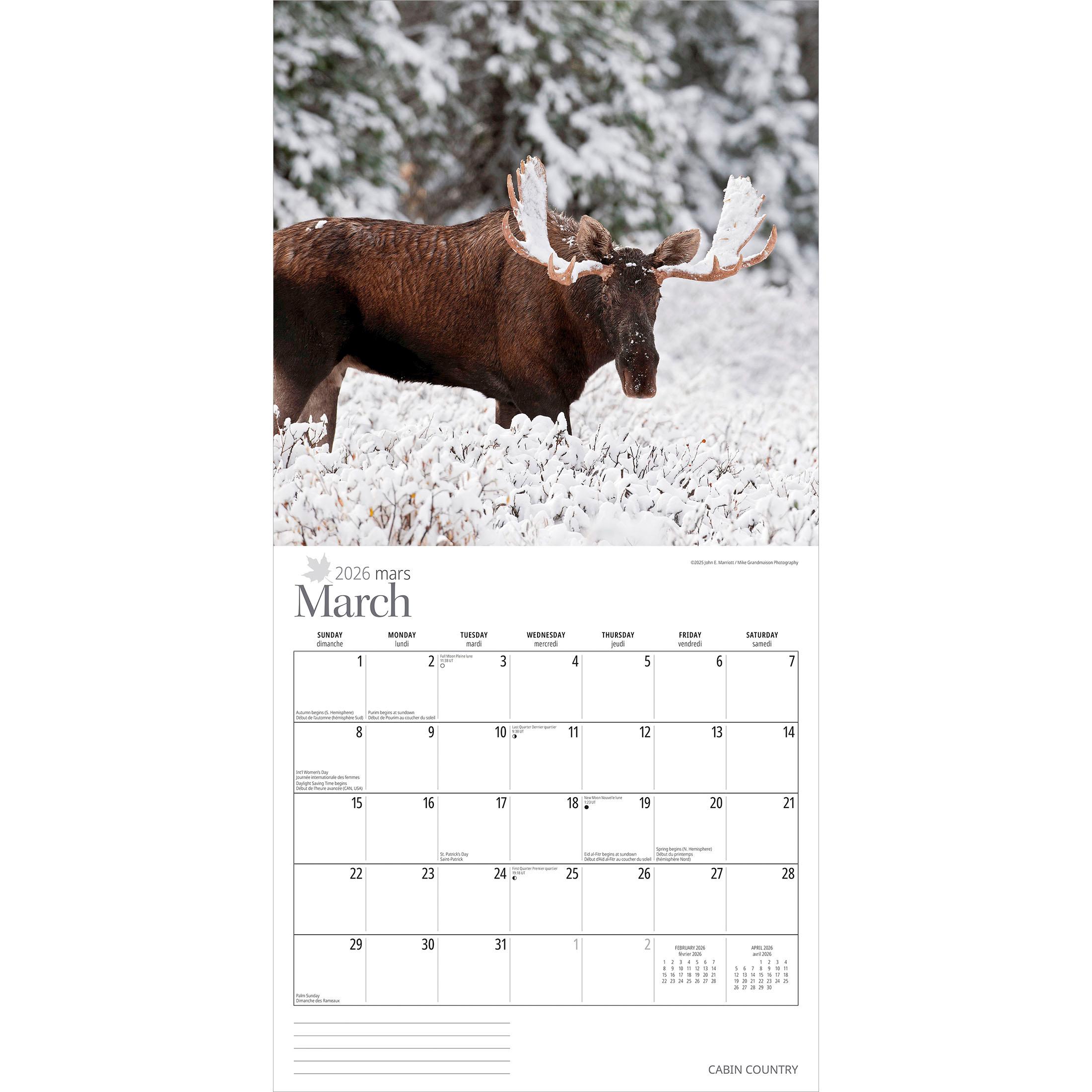 Cabin Country | 2026 12 X 24 Inch (hanging) Monthly Square Wall ...