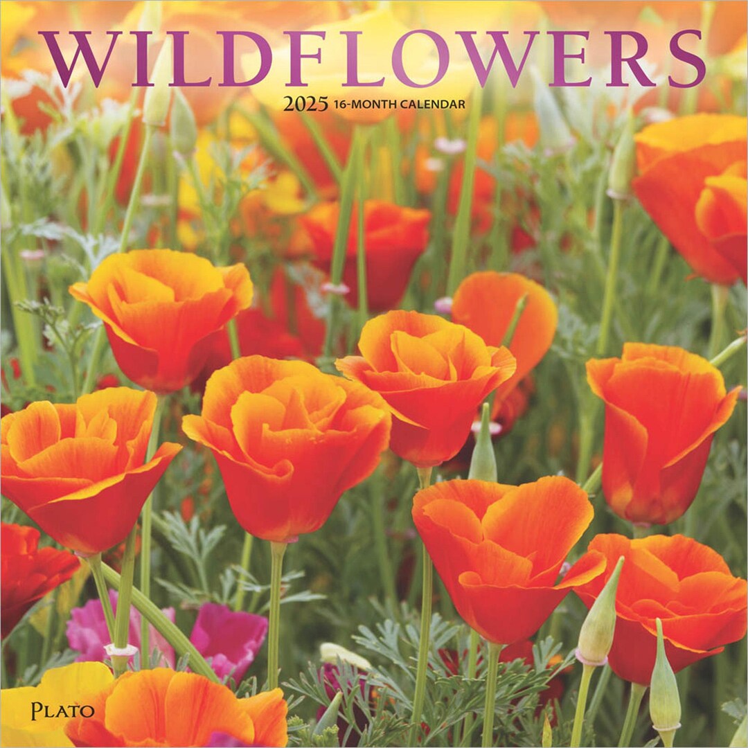 Wildflowers | 2025 12 X 24 Inch Monthly Square Wall Calendar | Foil ...