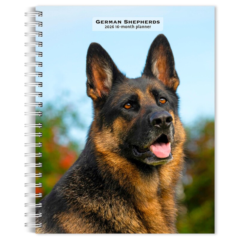 German Color Books - Etsy