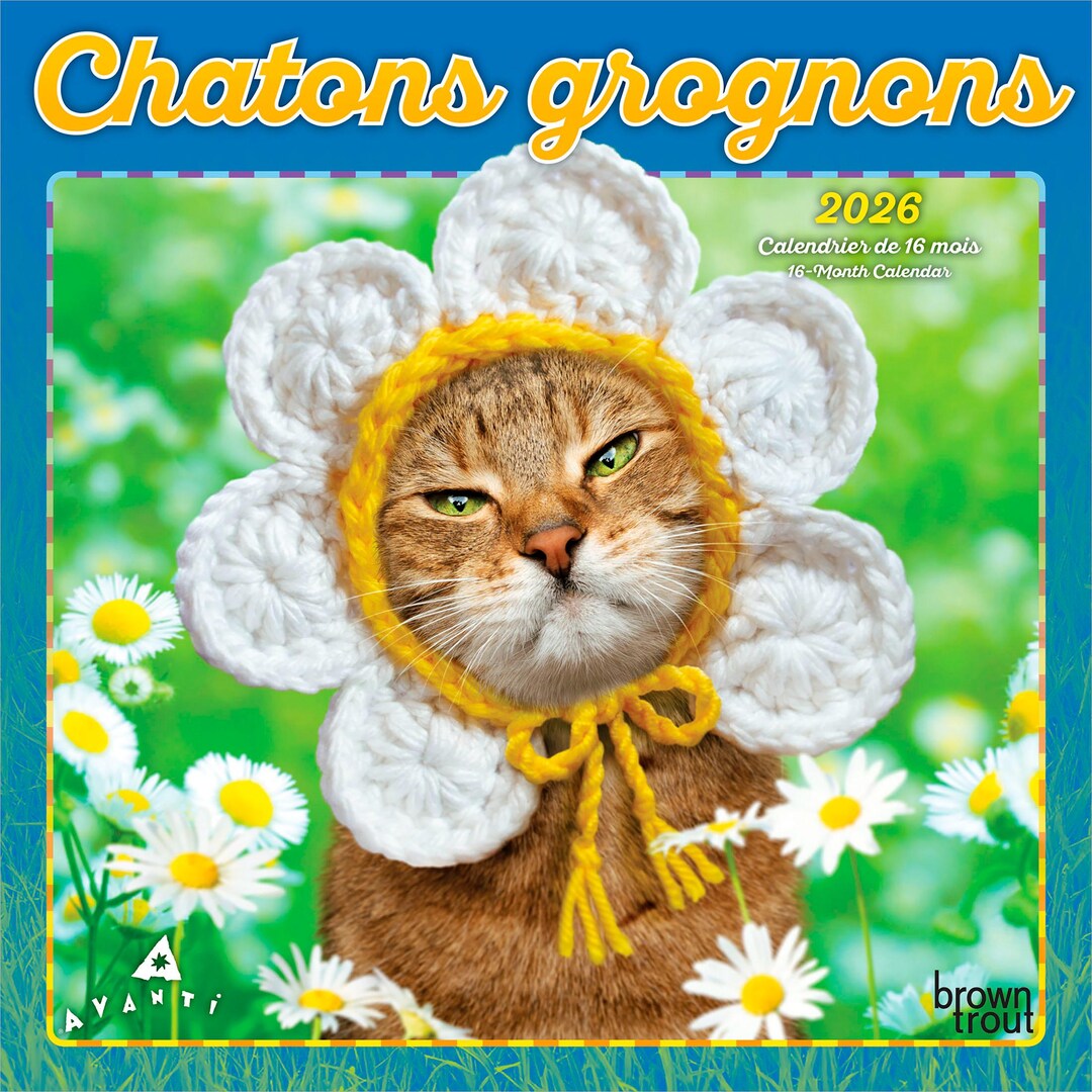 Avanti Chatons Grognons OFFICIAL | 2026 7 X 14 Inch (hanging) Monthly ...