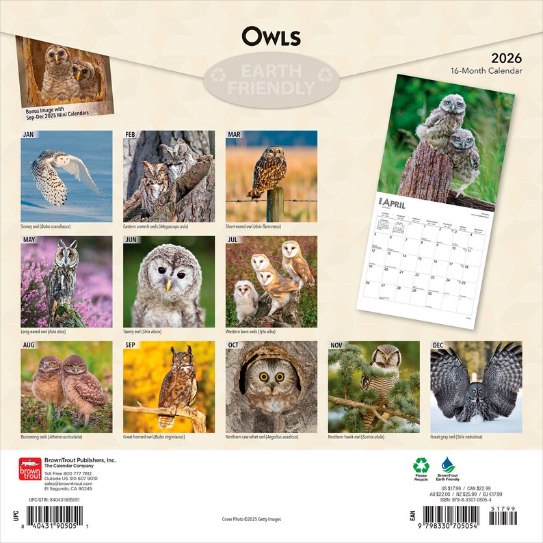 Owls | 2026 12 X 24 Inch (hanging) Monthly Square Wall Calendar ...