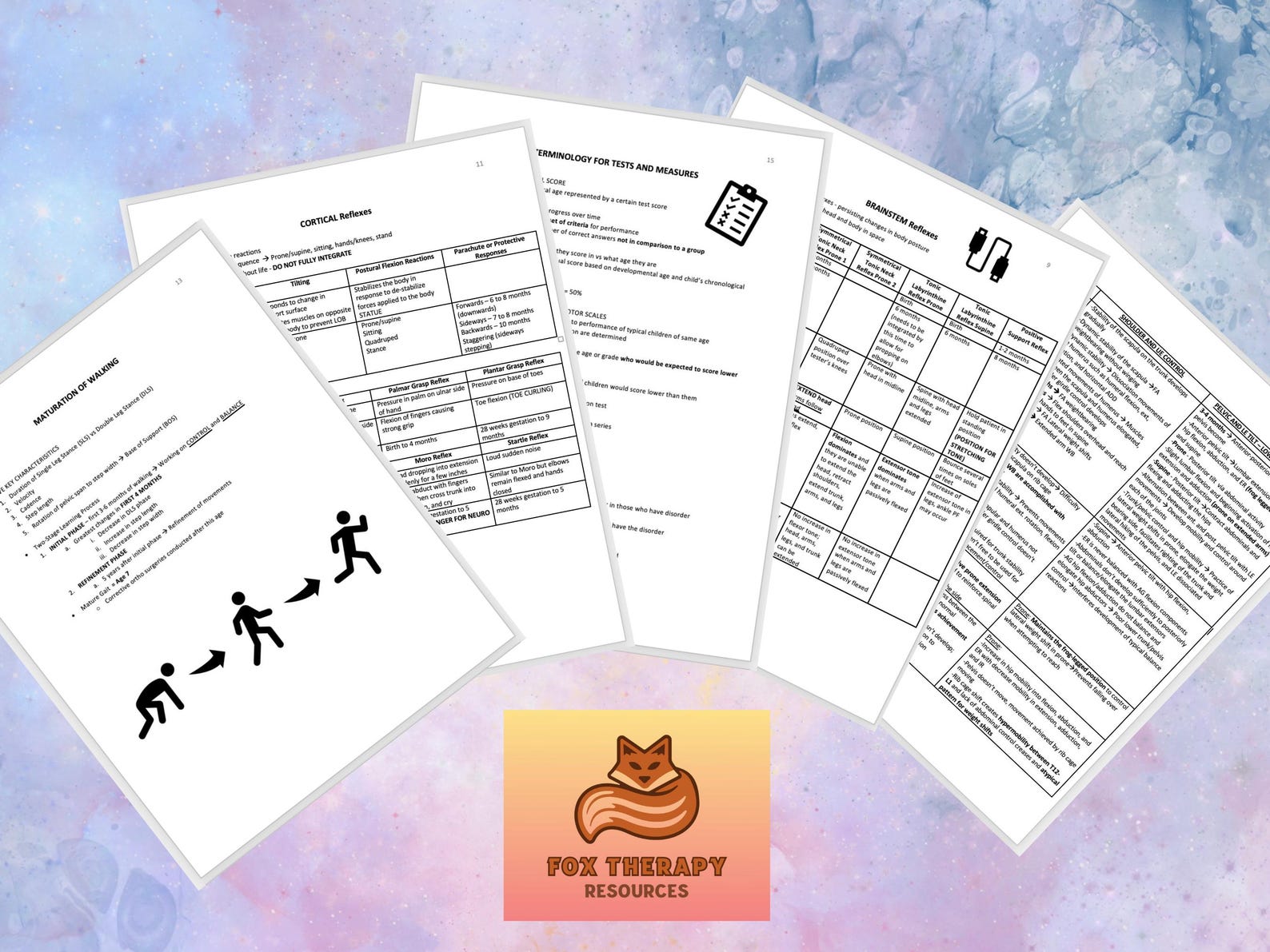 Pediatric Physical Therapy Packet - Etsy