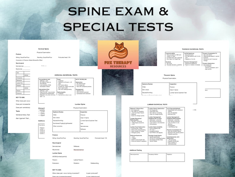 Spine Examination and Special Tests - Etsy