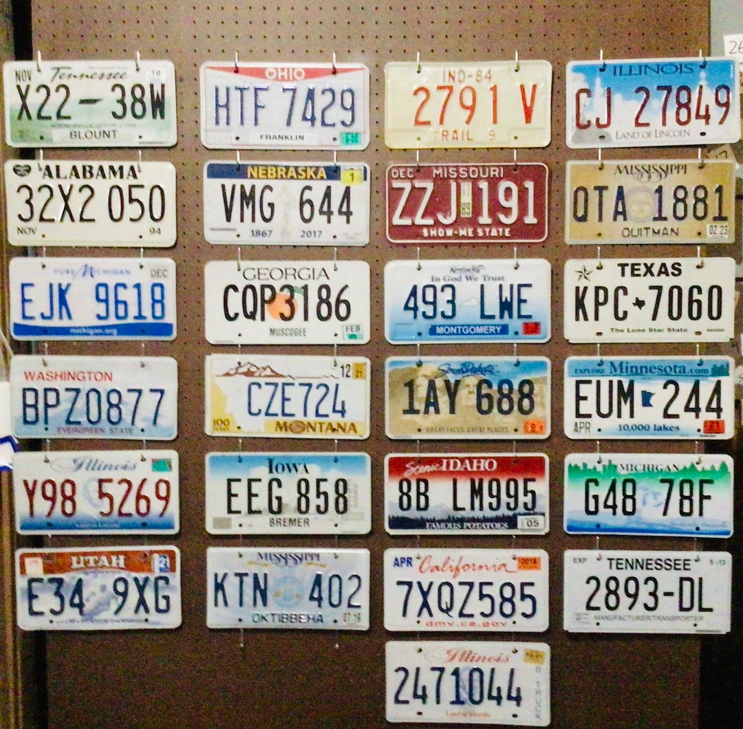 25 Unique and Colorful License Plates Perfect for Collecting or ...