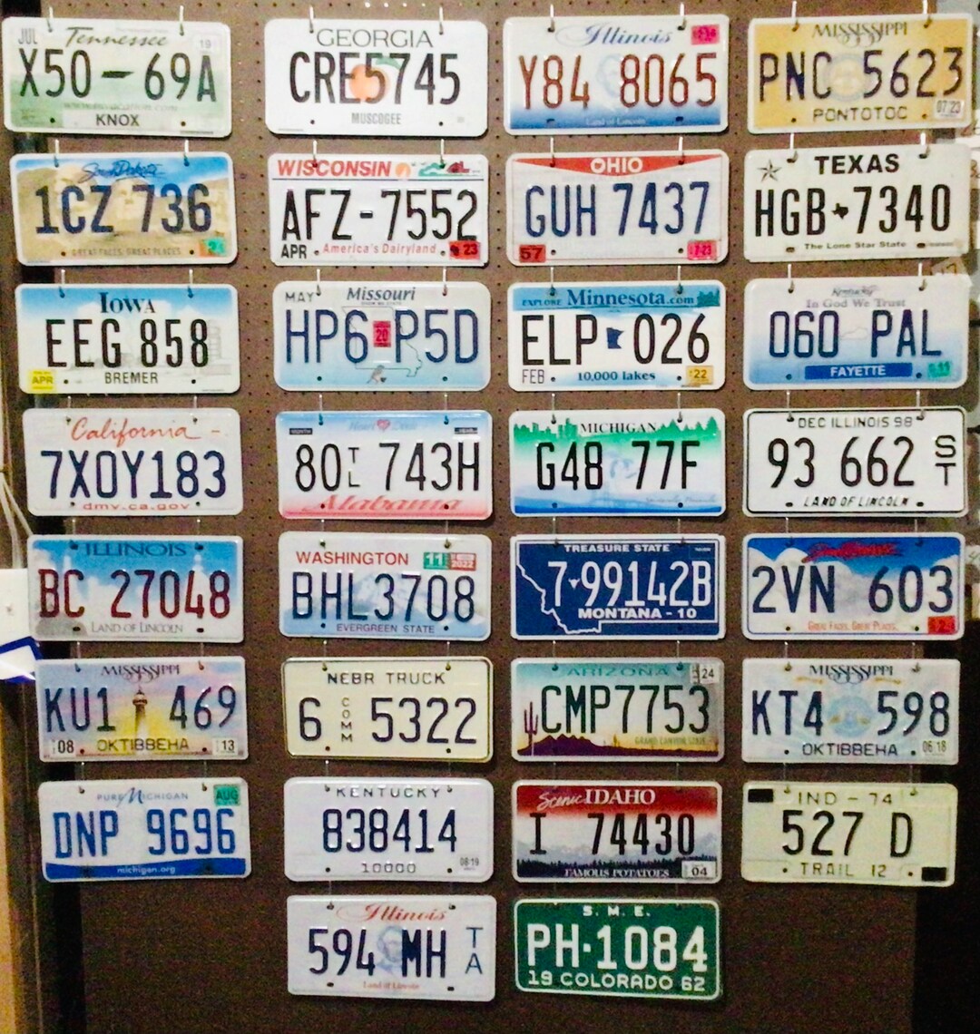 30 Unique and Colorful License Plates Perfect for Collecting or ...