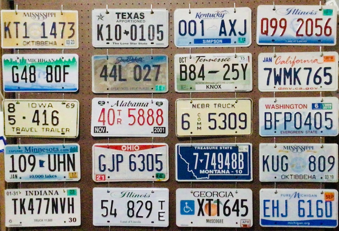 20 Unique and Colorful License Plates Perfect for Collecting or ...