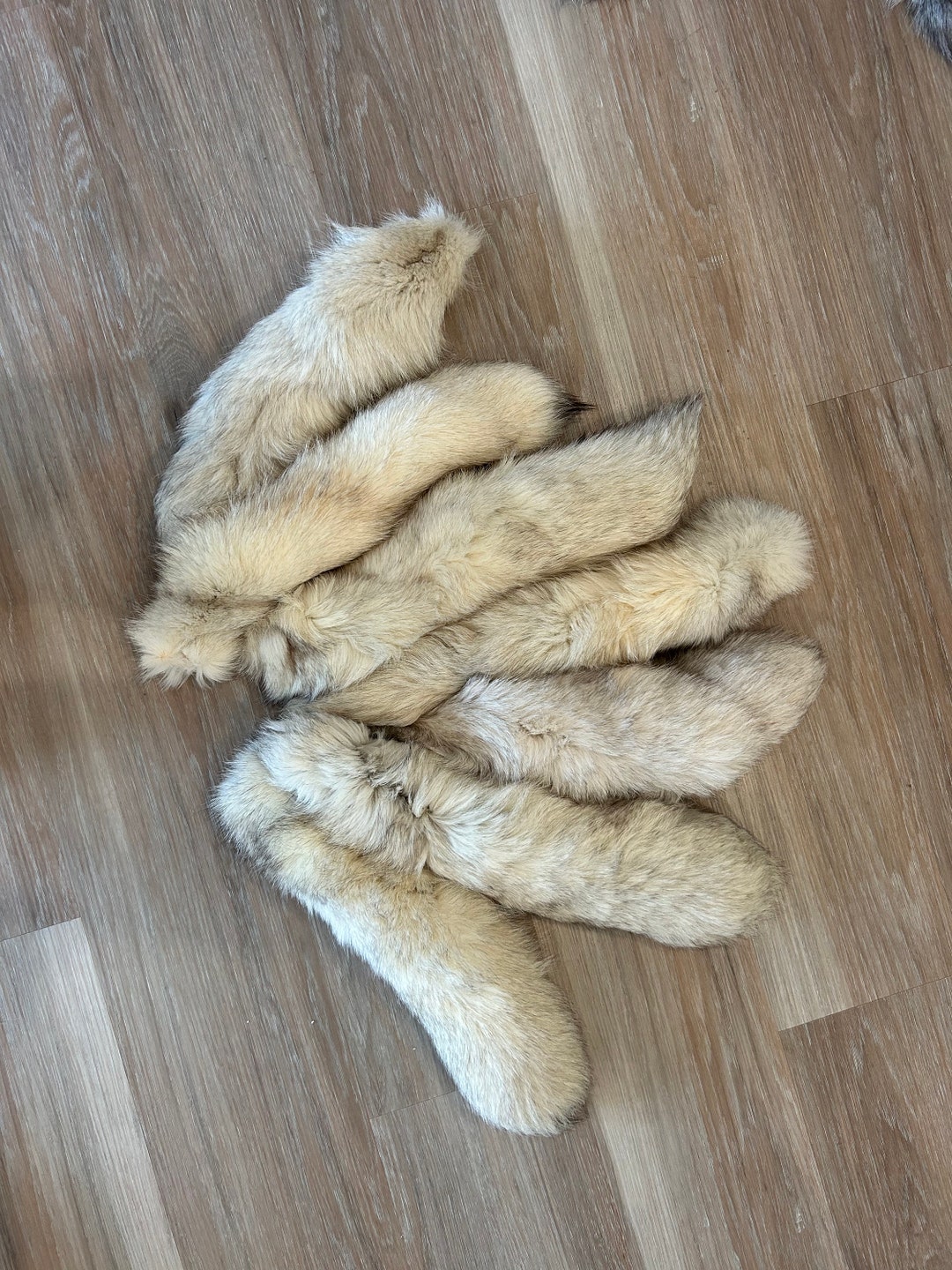 Tanned Ranch Fox Tails - Etsy