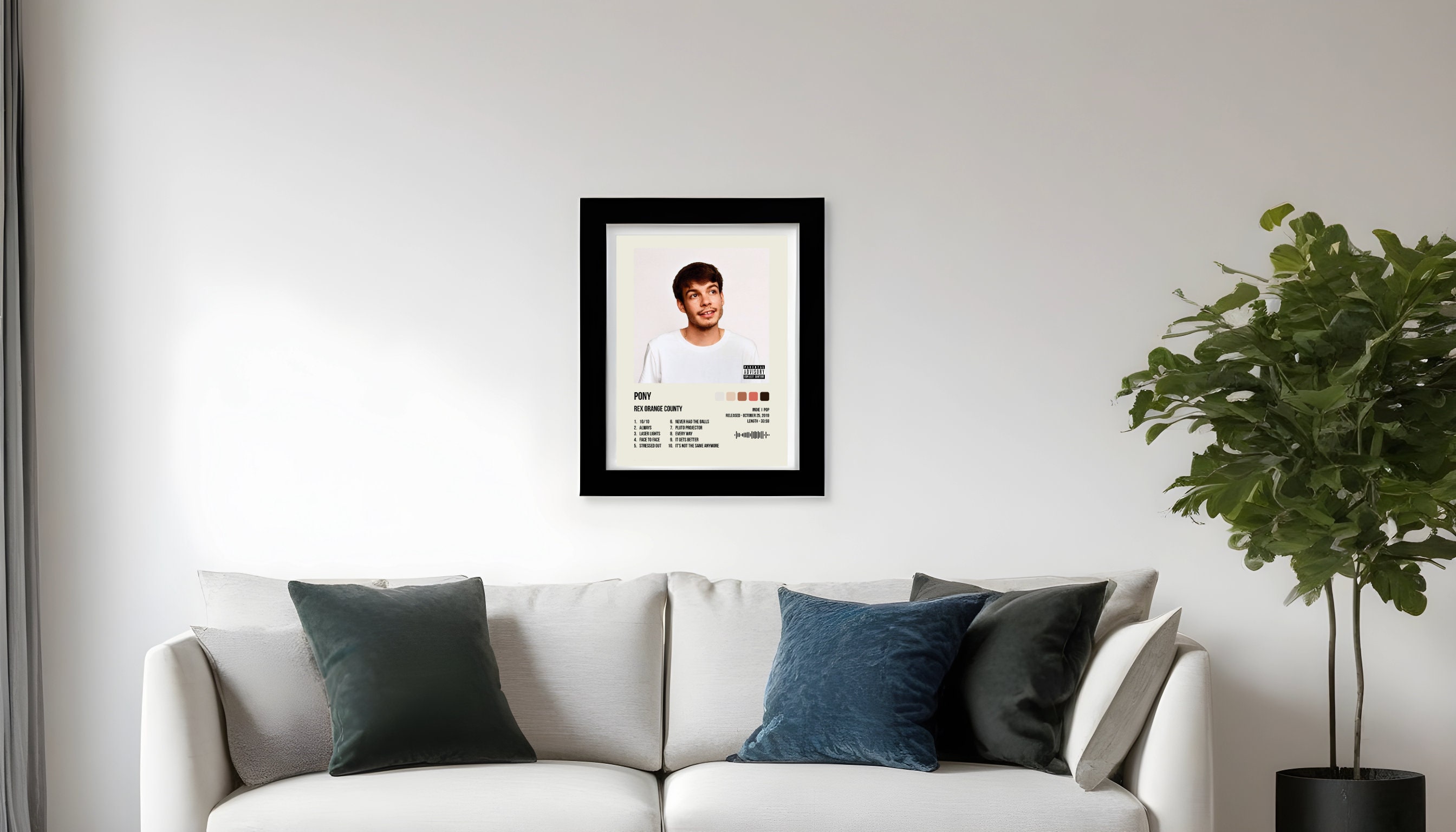 Rex Orange County - Pony Music Album Cover - Etsy