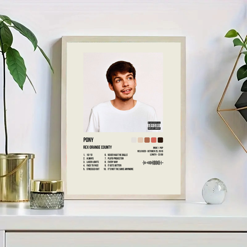 Rex Orange County - Pony Music Album Cover - Etsy