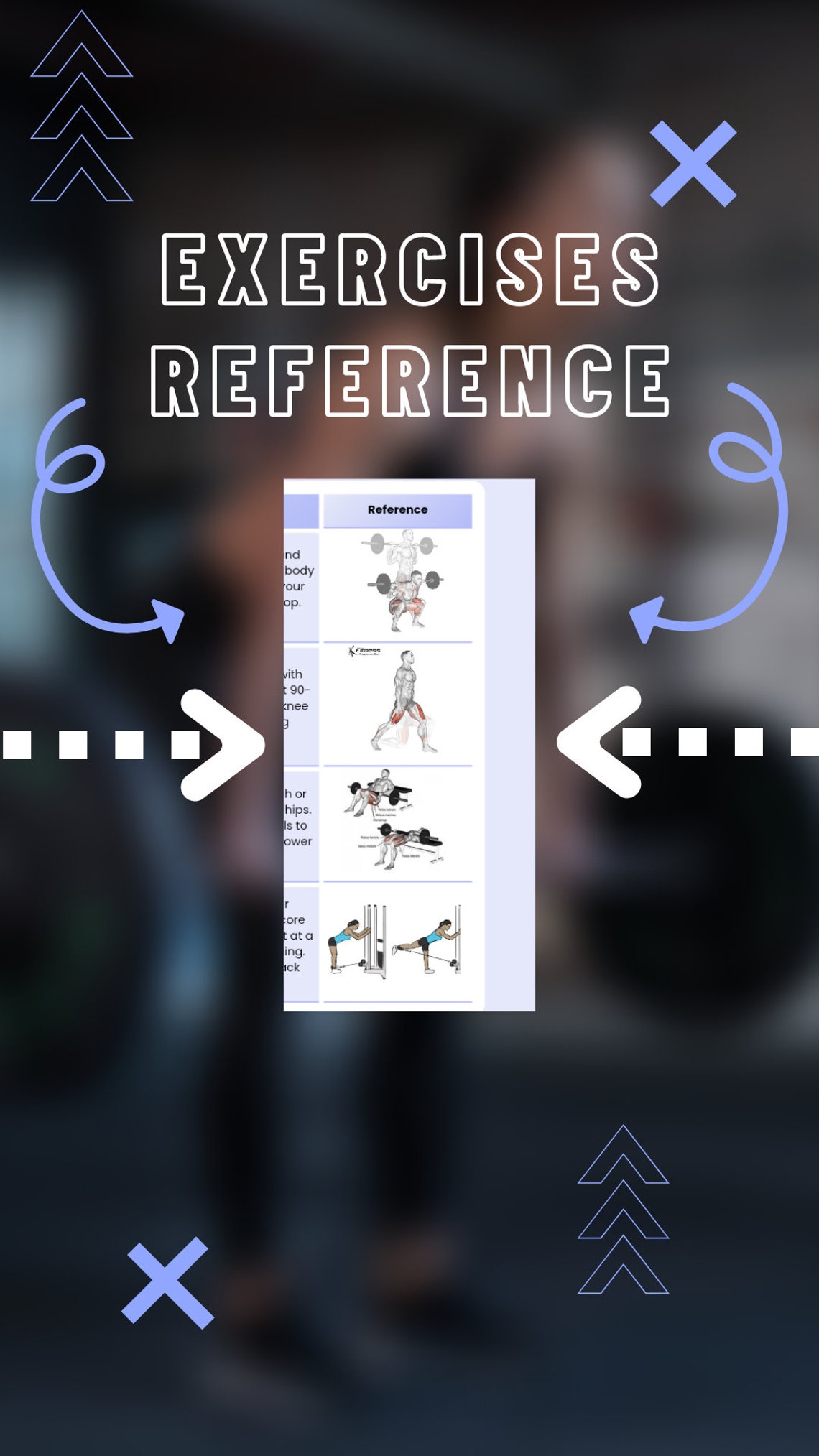 Unlock Your Potential: Beginner and Advanced Exercise Guide for Total Body Transformation ...