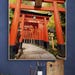 Japanese Tori Gate - Etsy